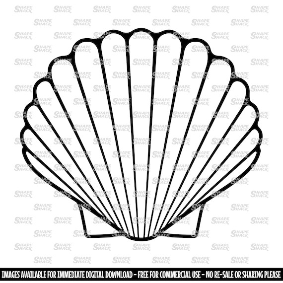 Scallop Shell Outline