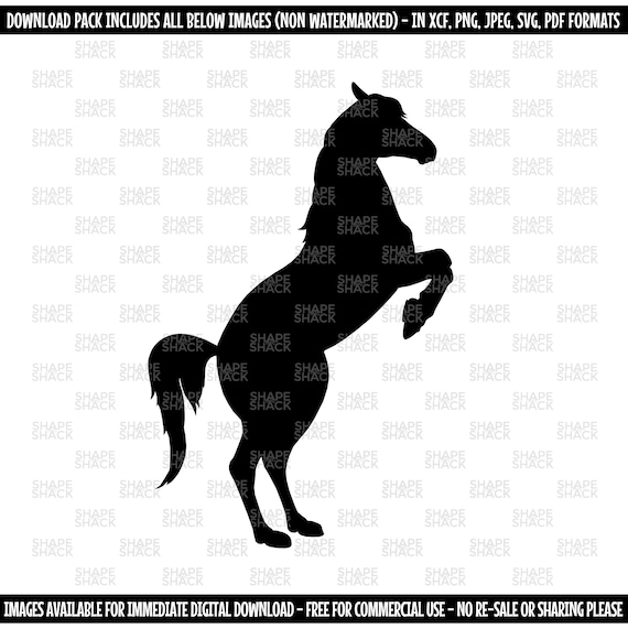 Horse Rearing With Rider Silhouette