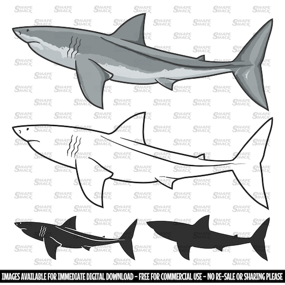Great White Shark Side View Outline