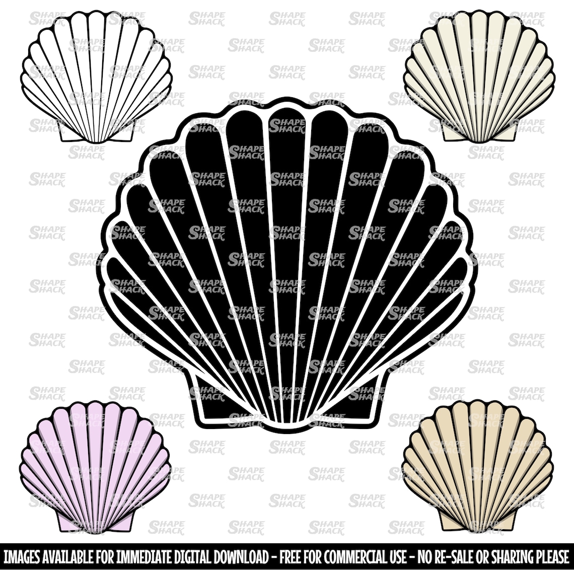 Scallop Shell. Cut Files for Cricut. Clipart Silhouette (png Jpg Svg ...