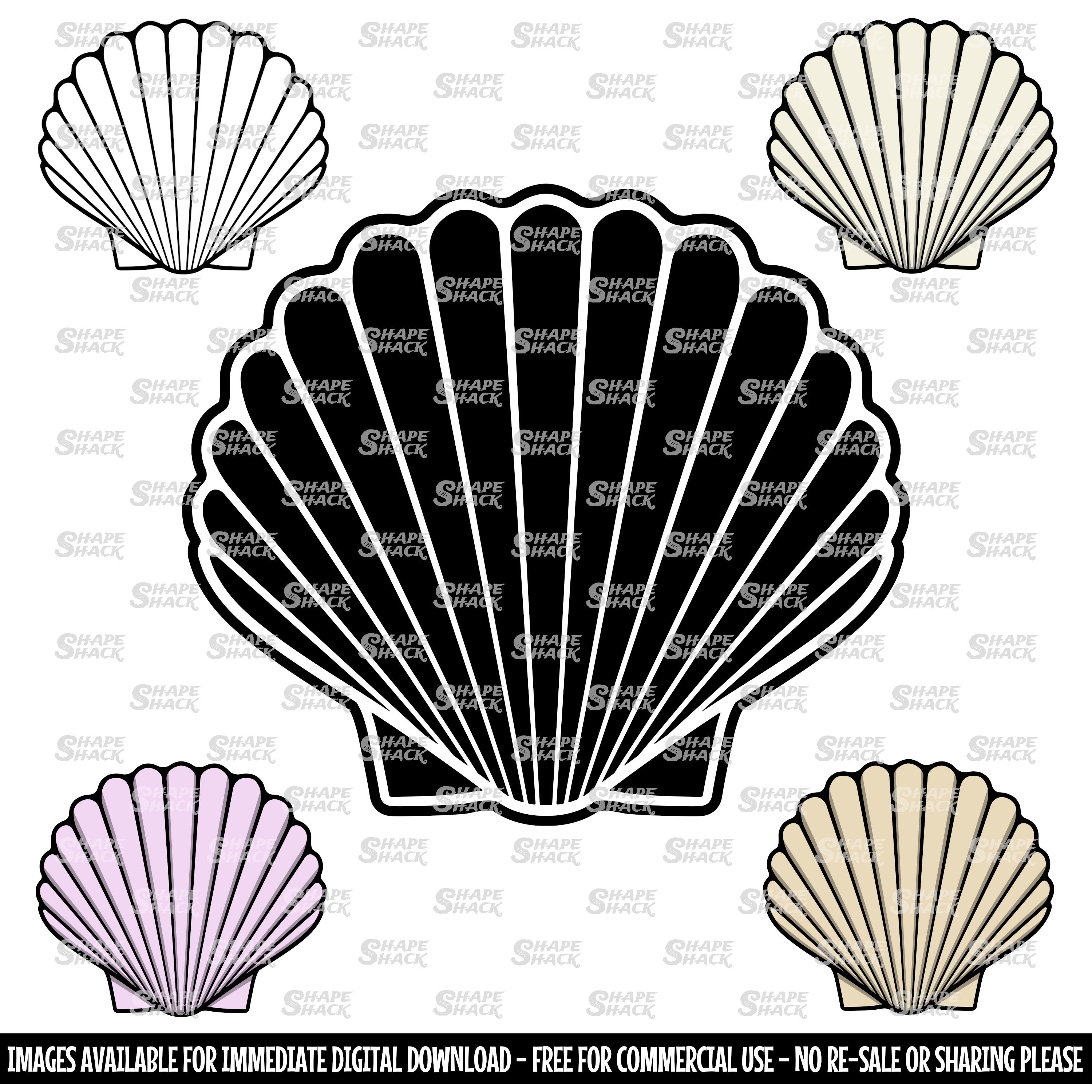 Scallop Shell Outline Clip Art
