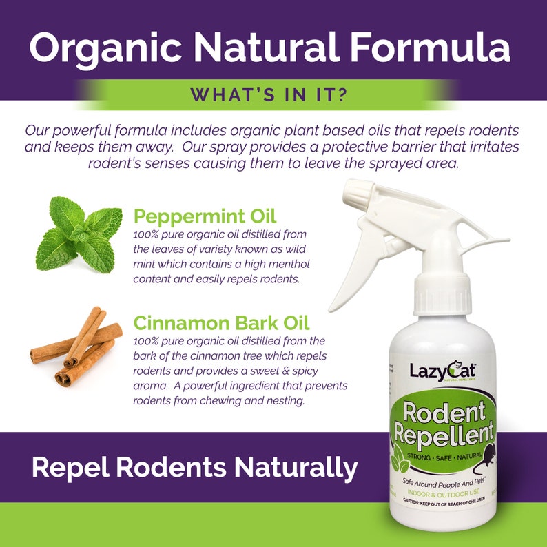 Lazy Cat Rodent Repellent MAX Spray - All Natural 2X Strength for Home ...