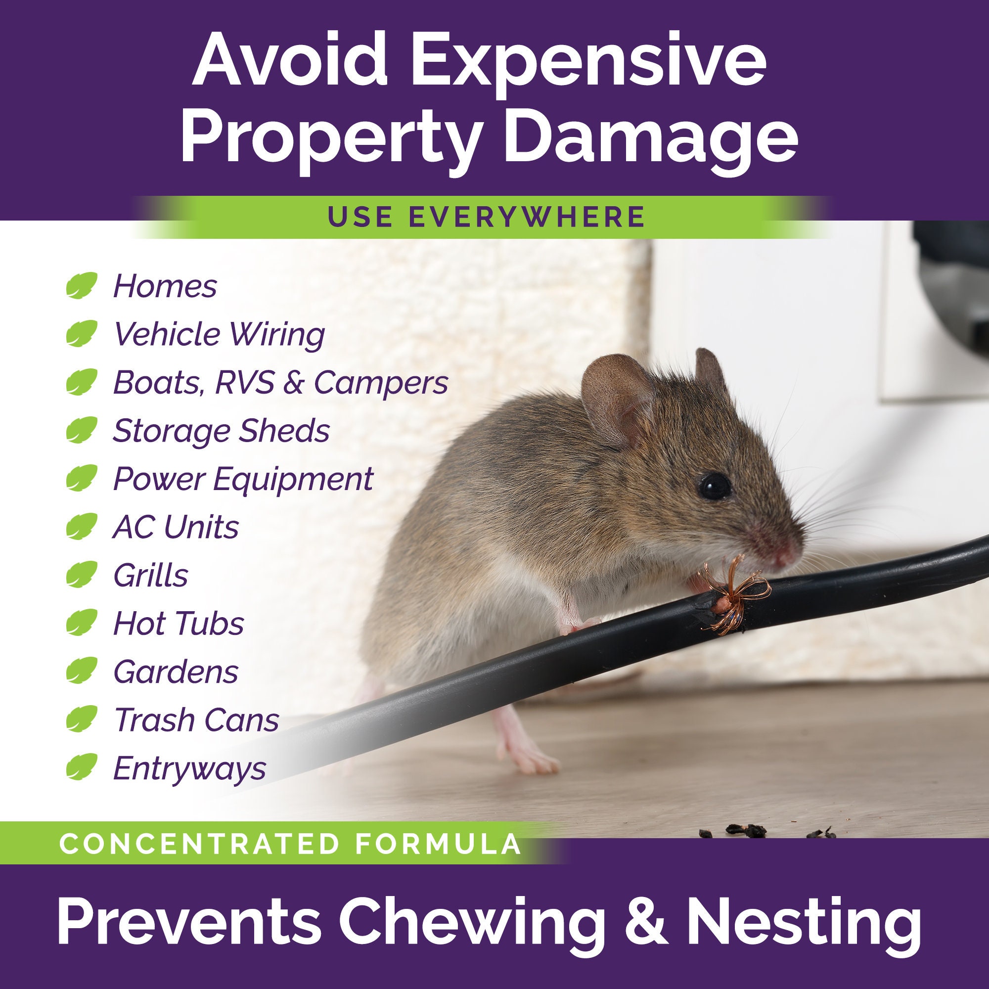 Lazy Cat Rodent Repellent MAX Spray - All Natural 2X Strength for Home ...