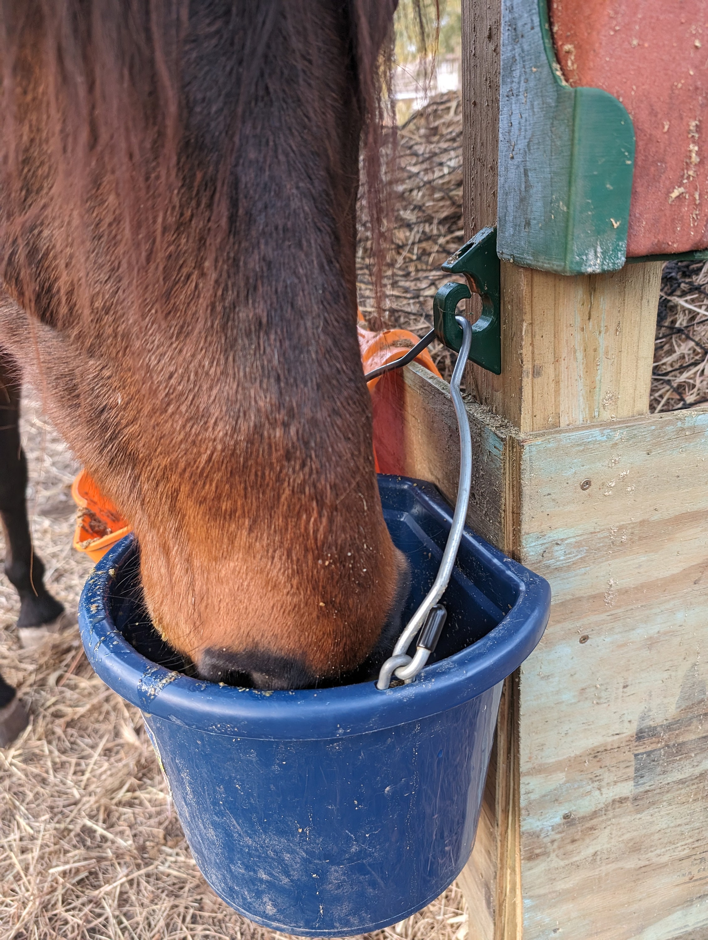 Captive Bucket Hanger 5 Pack | Prevent Thrown Feed and Water Buckets ...