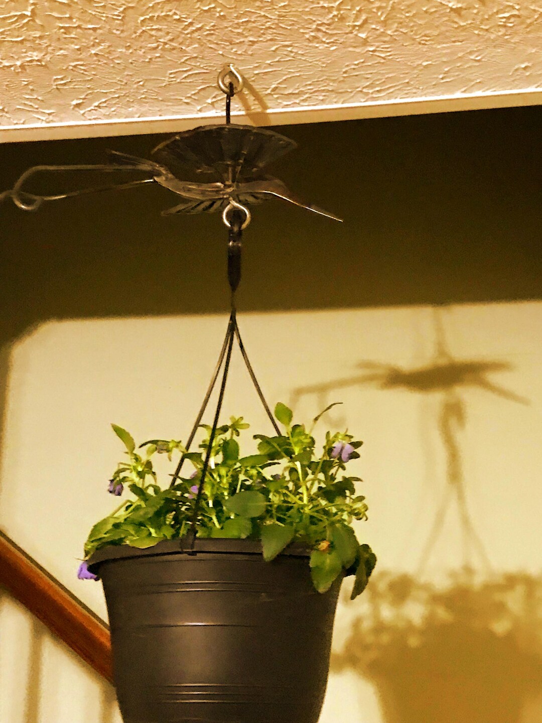 Large Caribbean Hummingbird Handmade Plant Hanger - Etsy