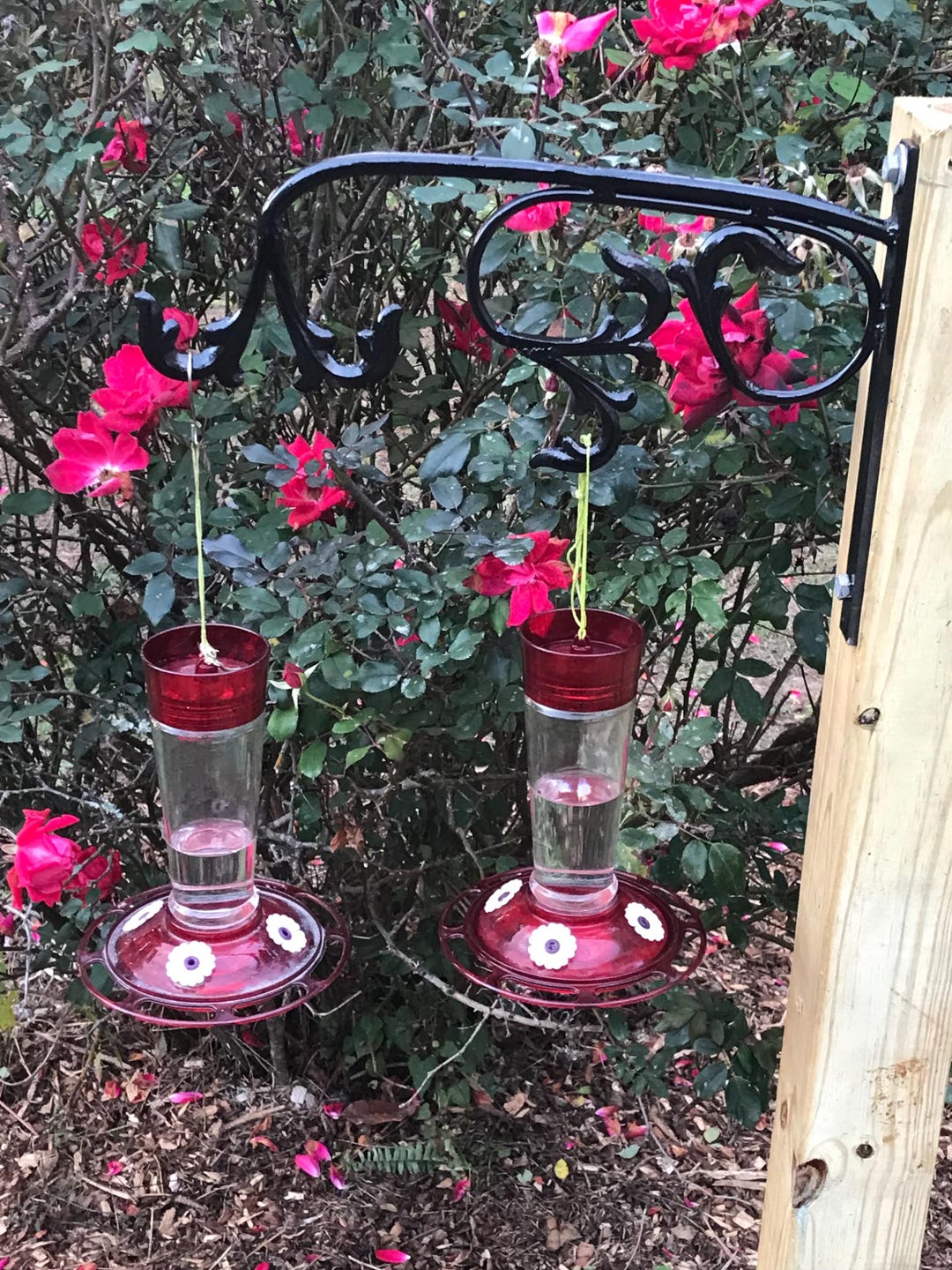 Hummingbird Feeder Hanger/plant Hanger - Etsy