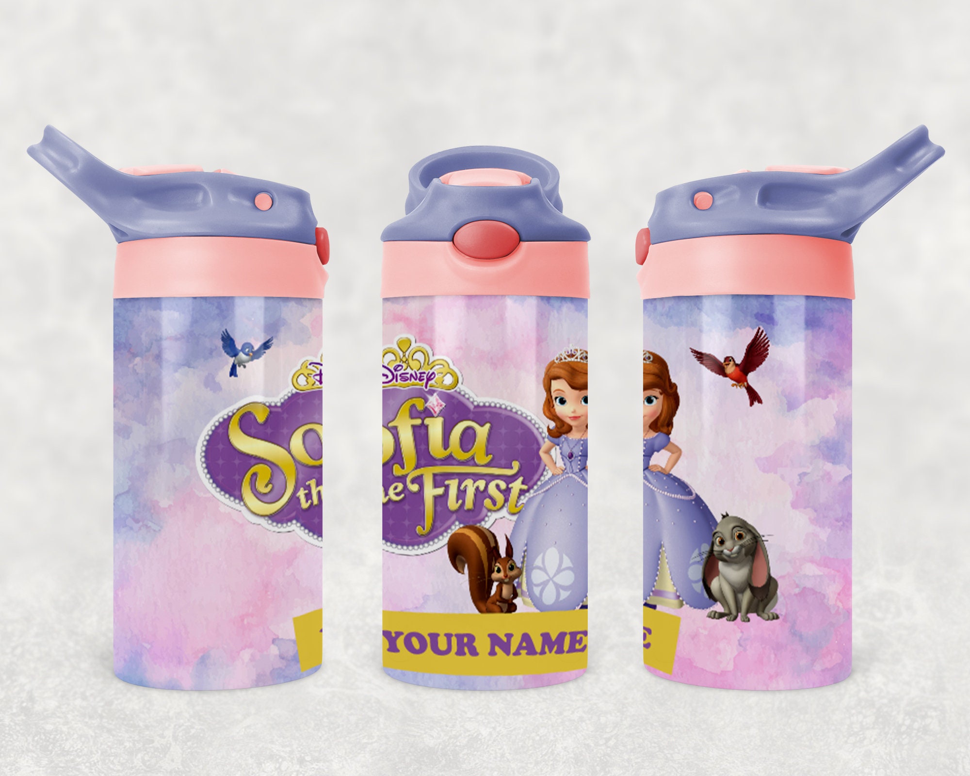 Sofia the First Water Bottle-kids 12oz Stainless Steel Sippy Cup-sofia ...