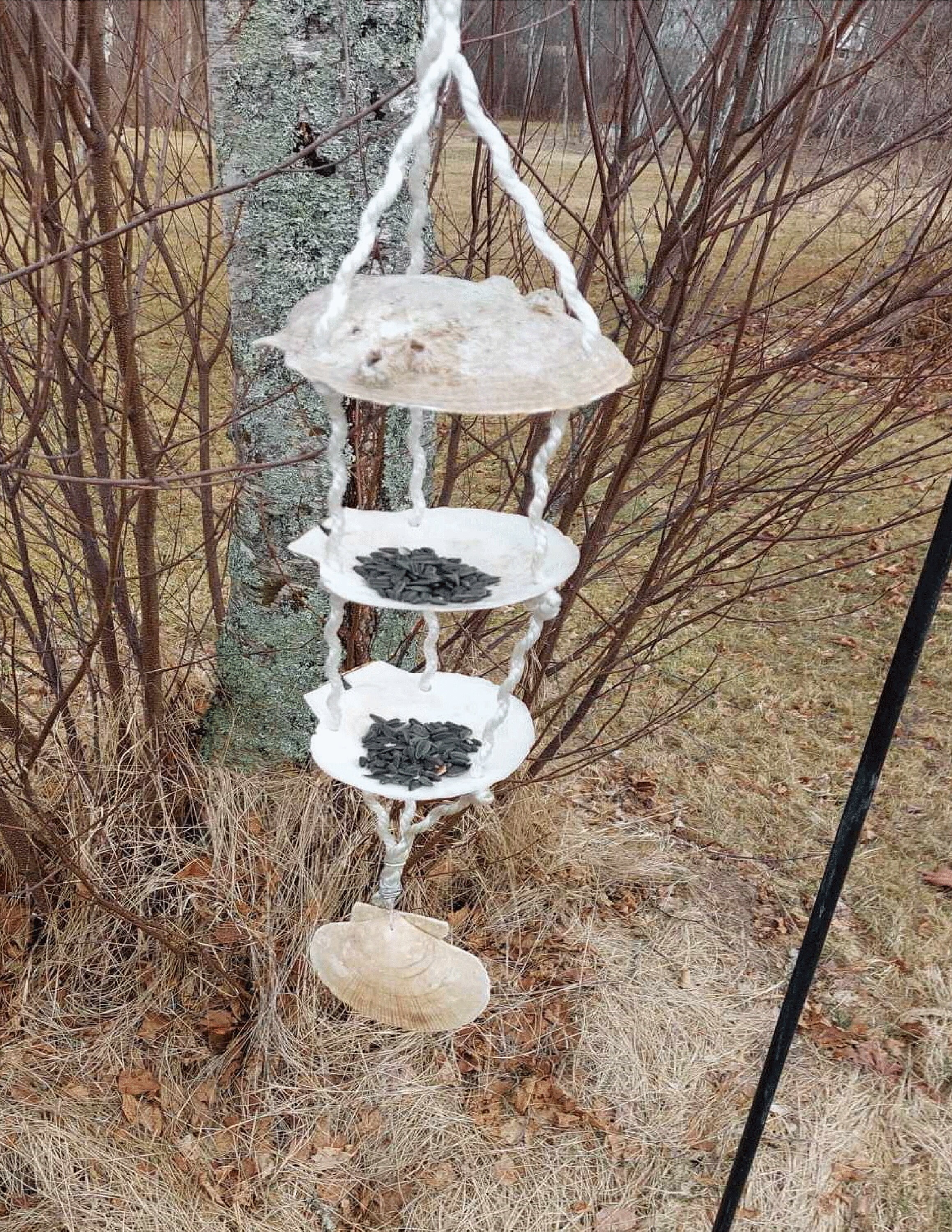 Scallop Shell Bird Feeder-bird Bath-nautical Garden Decor-handmade Bird ...