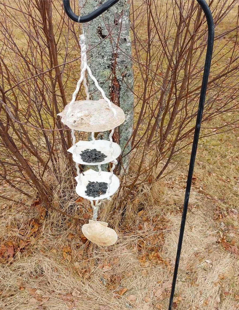Scallop Shell Bird Feeder-bird Bath-nautical Garden Decor-handmade Bird Feeder-coastal Decor-sea ...