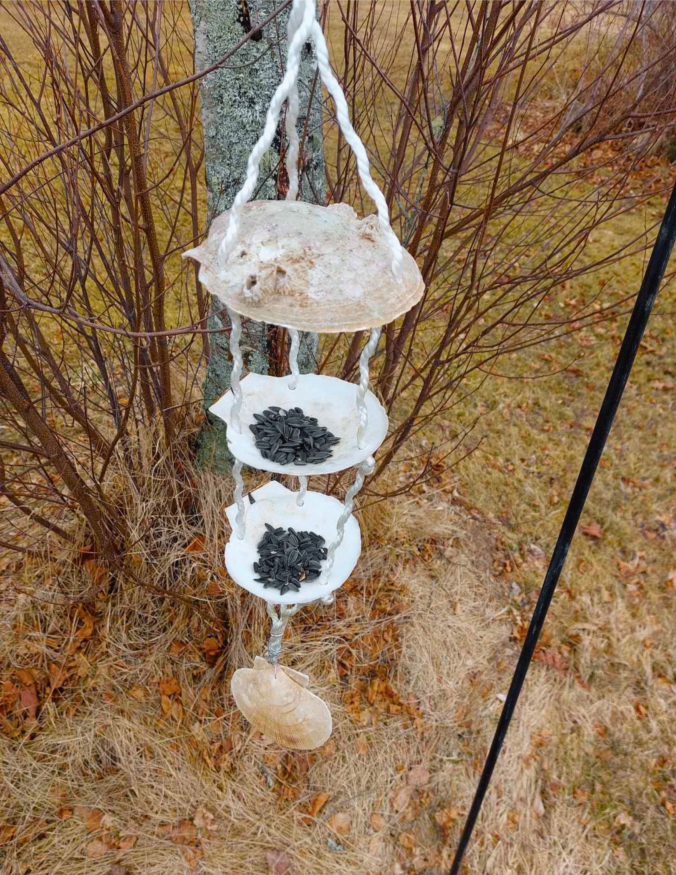 Scallop Shell Bird Feeder-bird Bath-nautical Garden Decor-handmade Bird ...