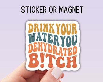 Funny Stickers Adult, Drink Your Water You Beautiful Dehydrated Bitch ...