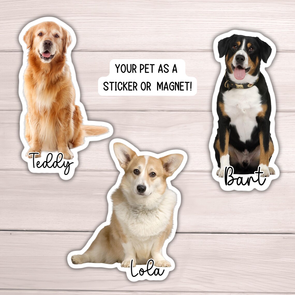 Dog Picture Magnet Custom Pet Photo Sticker Cat Magnet Dog Sticker Dog ...