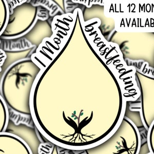Breastfeeding Milestone Stickers, Nursing Mama Stickers, Breastfeeding ...