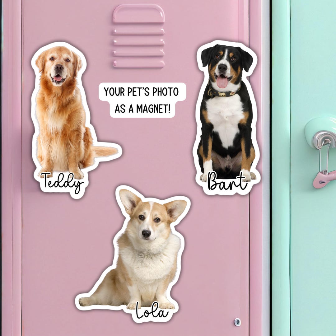 Dog Picture Magnet Custom Pet Photo Sticker Cat Magnet Dog Sticker Dog ...