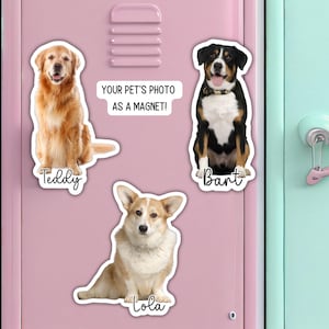 Dog Picture Magnet Custom Pet Photo Sticker Cat Magnet Dog Sticker Dog ...