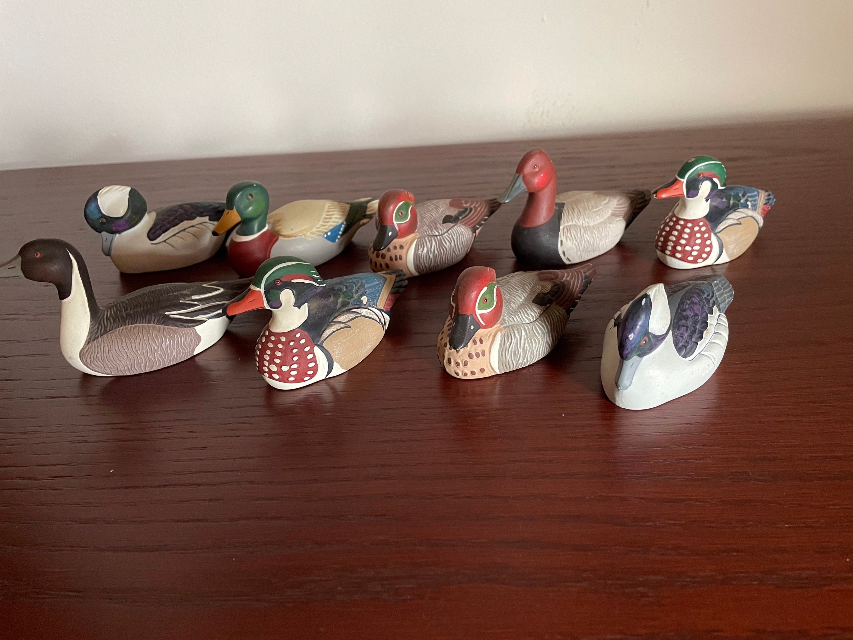 Avon Duck Collection