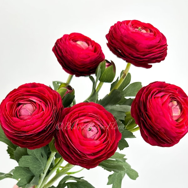 Silk Ranunculus - Etsy