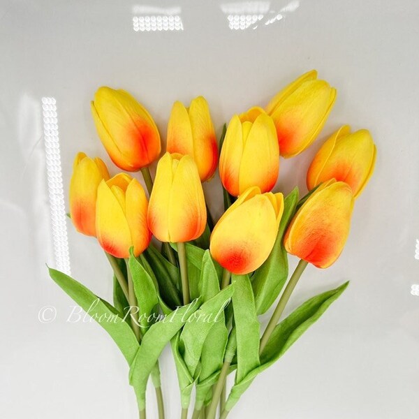 Orange Tulips - Etsy