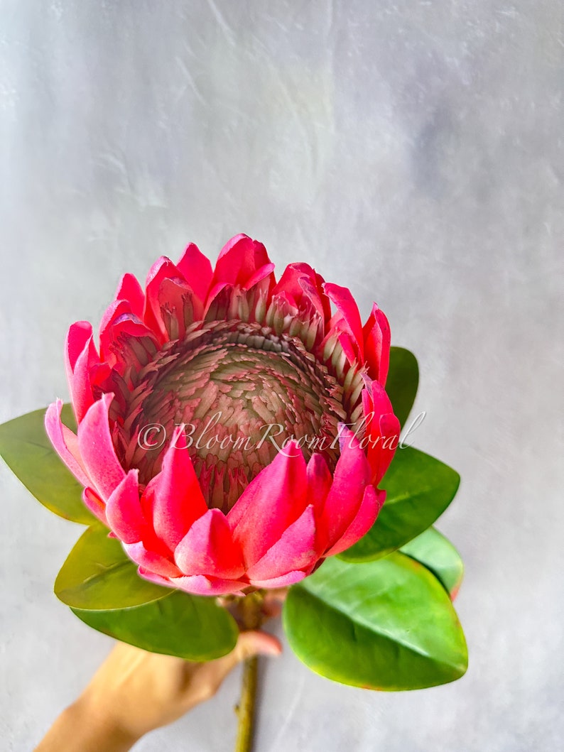 Real Touch King Protea Stem: 30" Artificial Flower for DIY Floral - Etsy