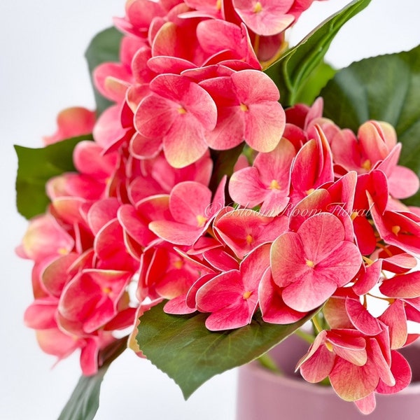 Coral Hydrangea - Etsy