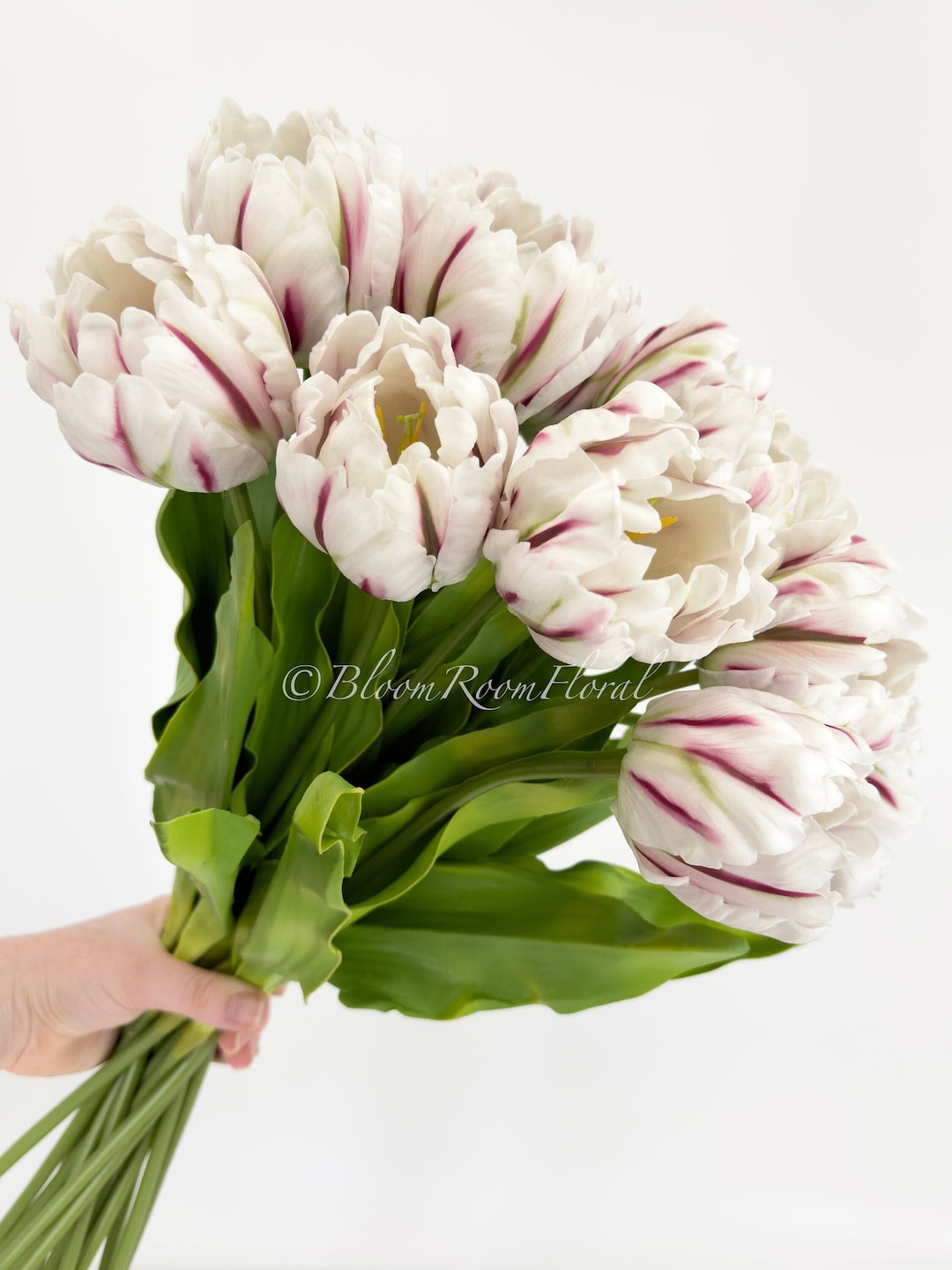 24" White & Pink Parrot Tulip: Realistic Artificial Flower Stems - Etsy