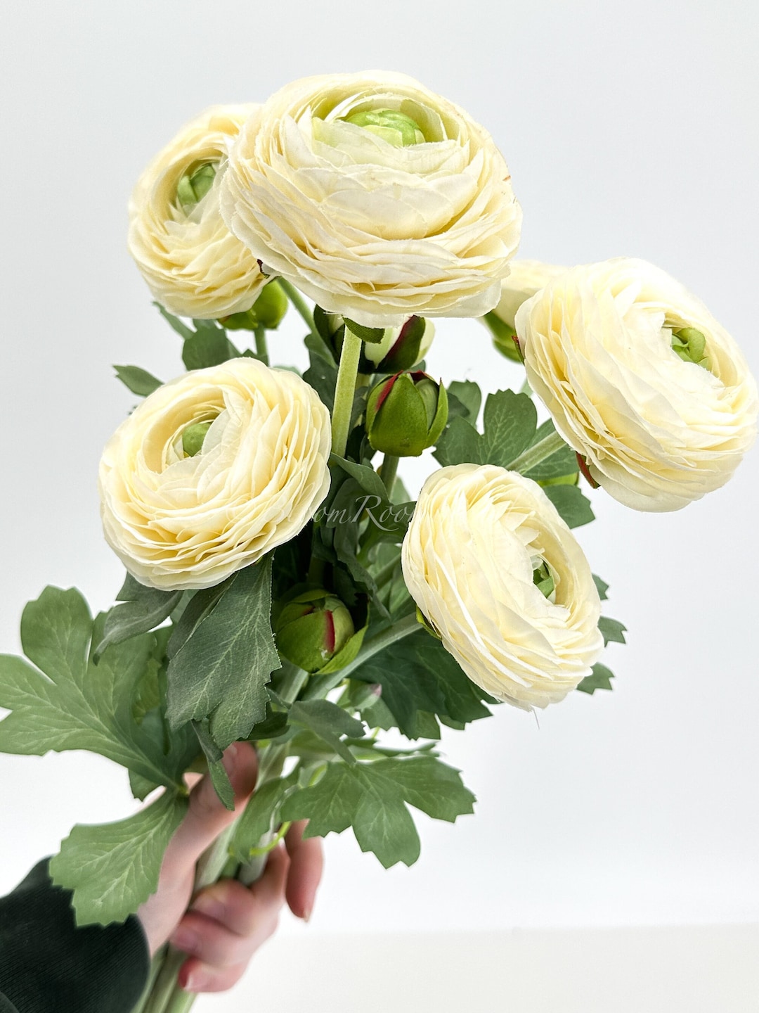 Cream White Ranunculus Stem | Realistic Silk Artificial Flower - Etsy