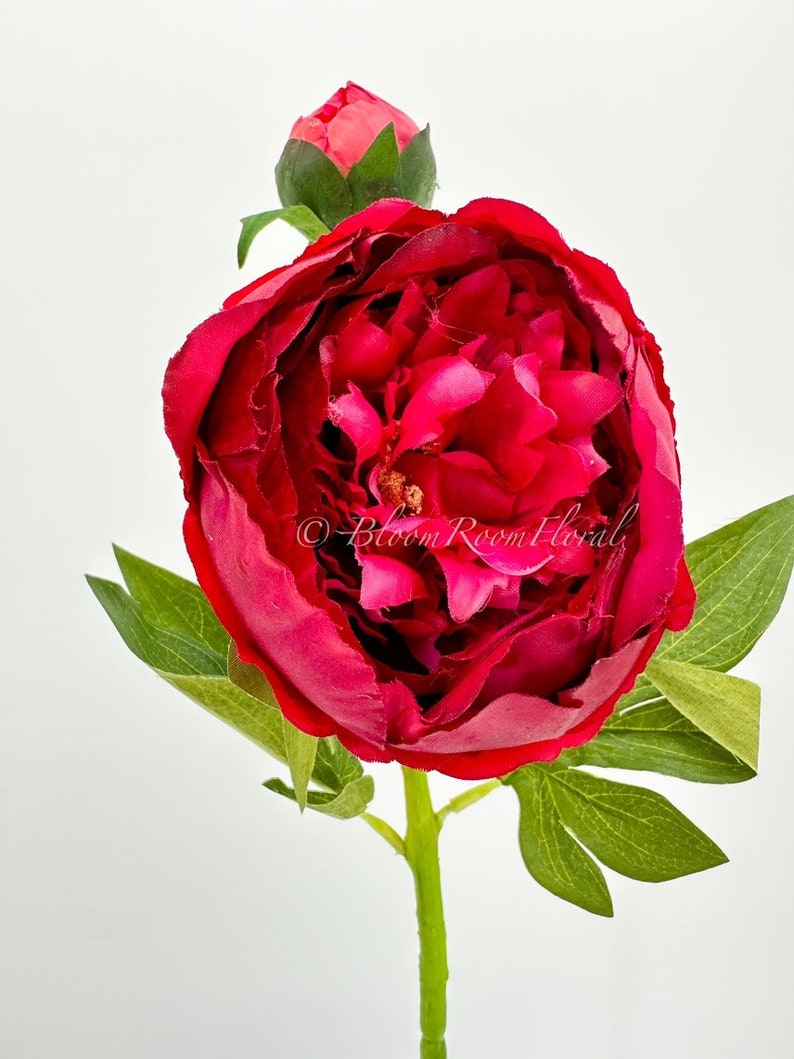 Tallo de peonía burdeos con tacto real: decoración floral artificial de ...