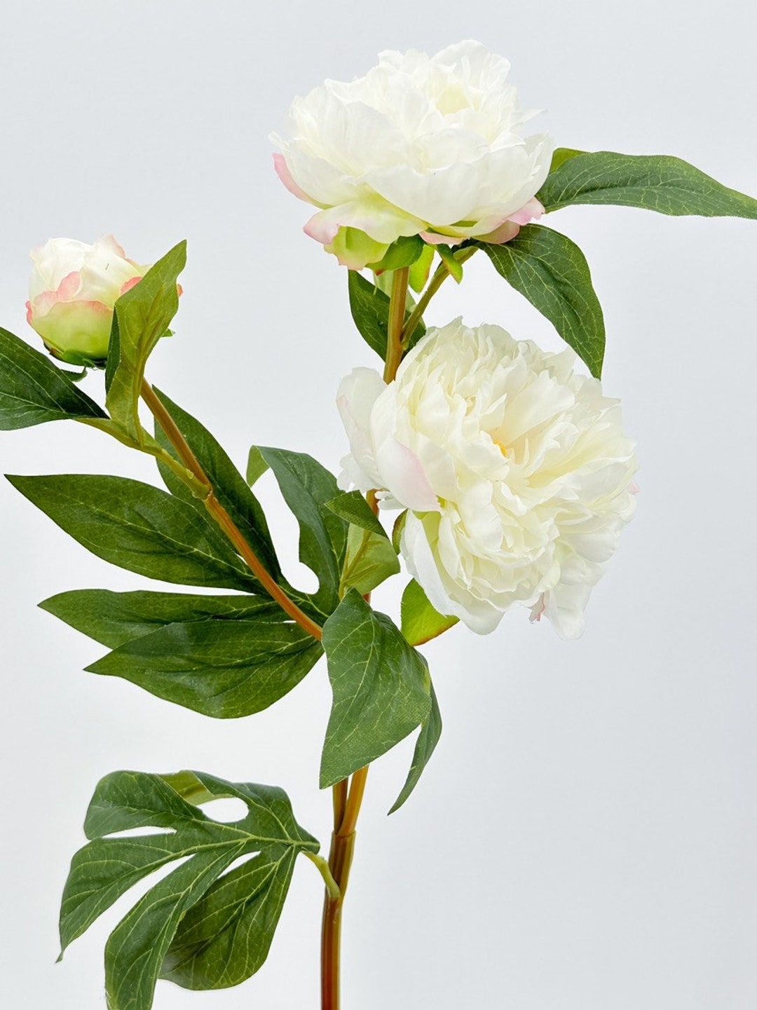 3-head White Peony Silk Stem Realistic Luxury Quality Artificial ...