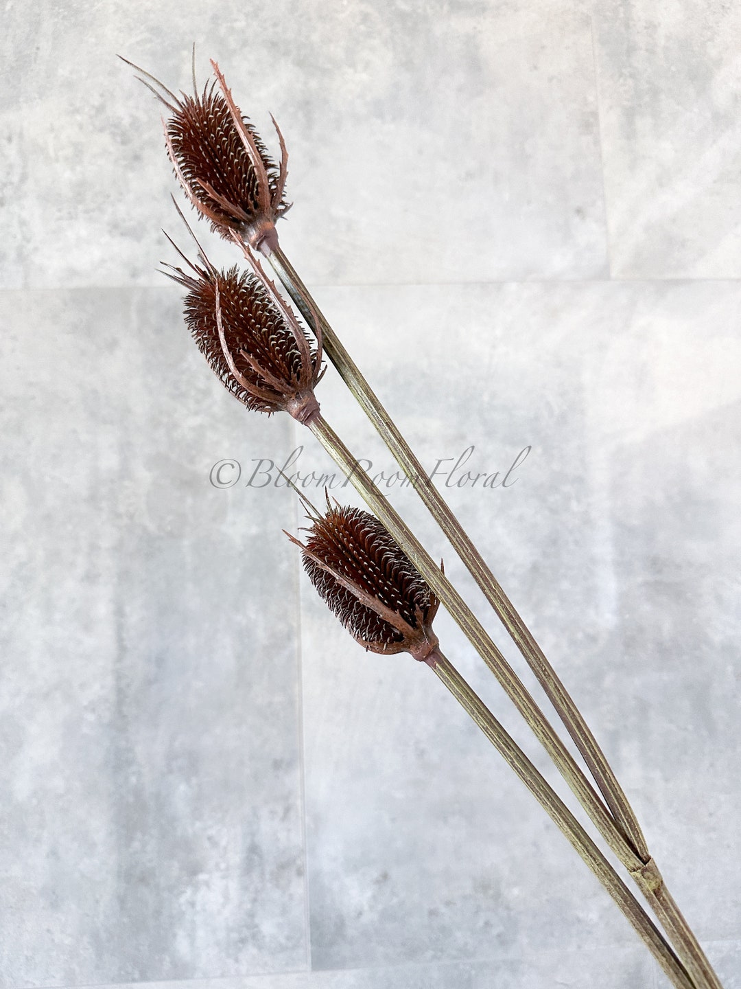 Brown Wild Teasel Stem, Artificial Flower Realistic Quality Artificial ...