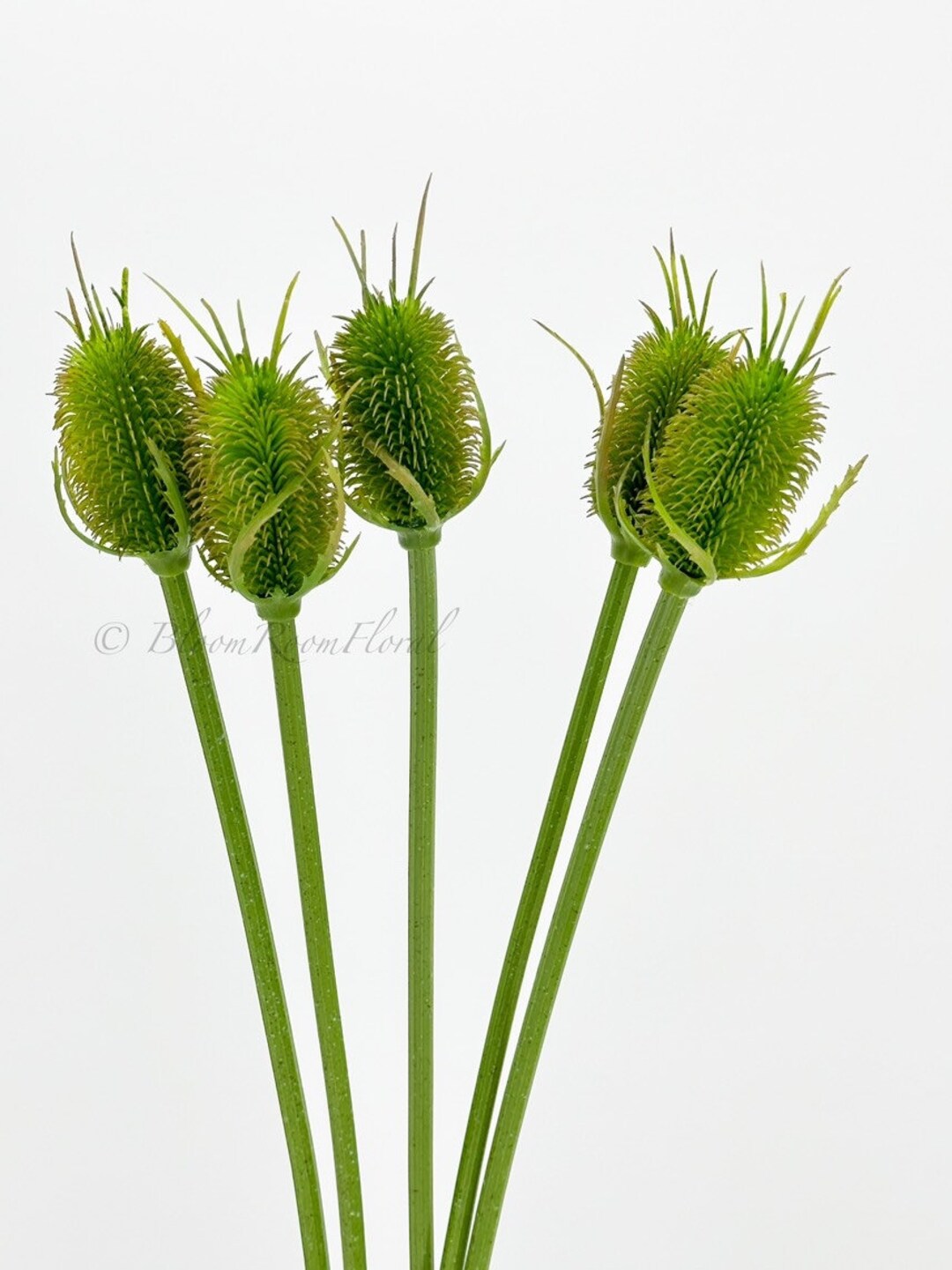 30" Silicone Wild Teasel Stem: Realistic Artificial Flower - Etsy