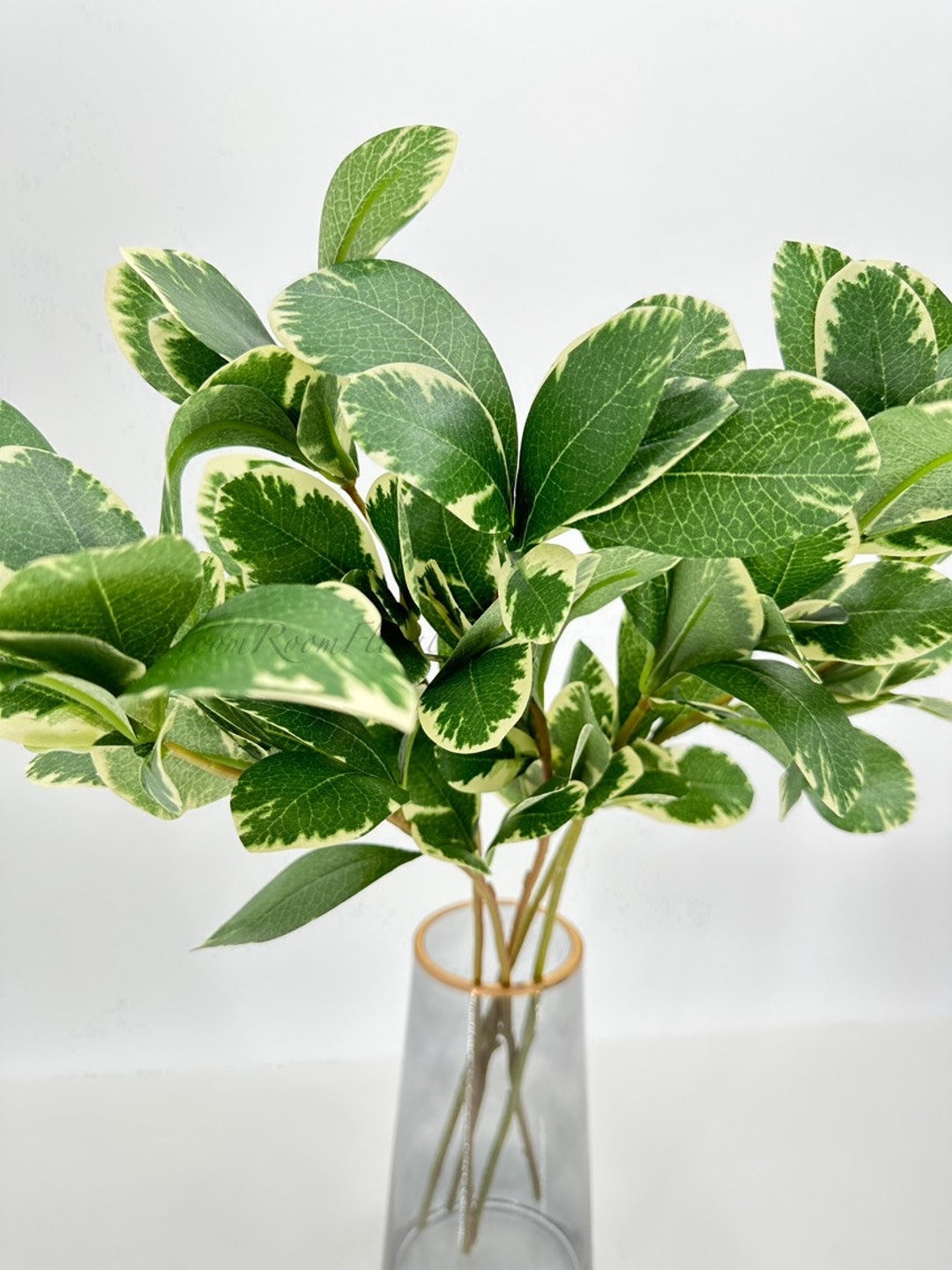 20" Silk Pittosporum Stem: Realistic Green Leaf Artificial Flower - Etsy