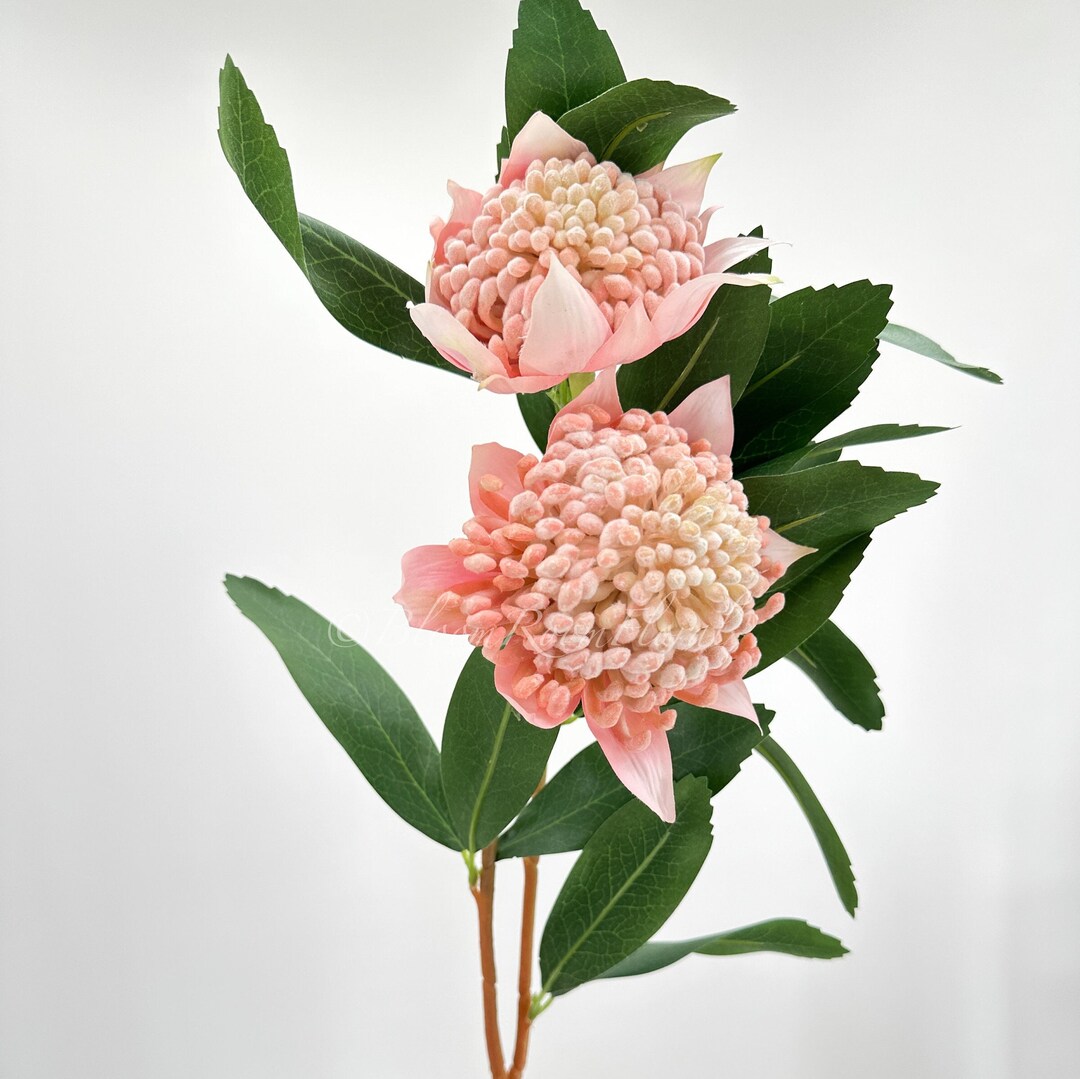Pink Telopea Stem 35-inch – Realistic Faux Silk Flower for Wedding ...