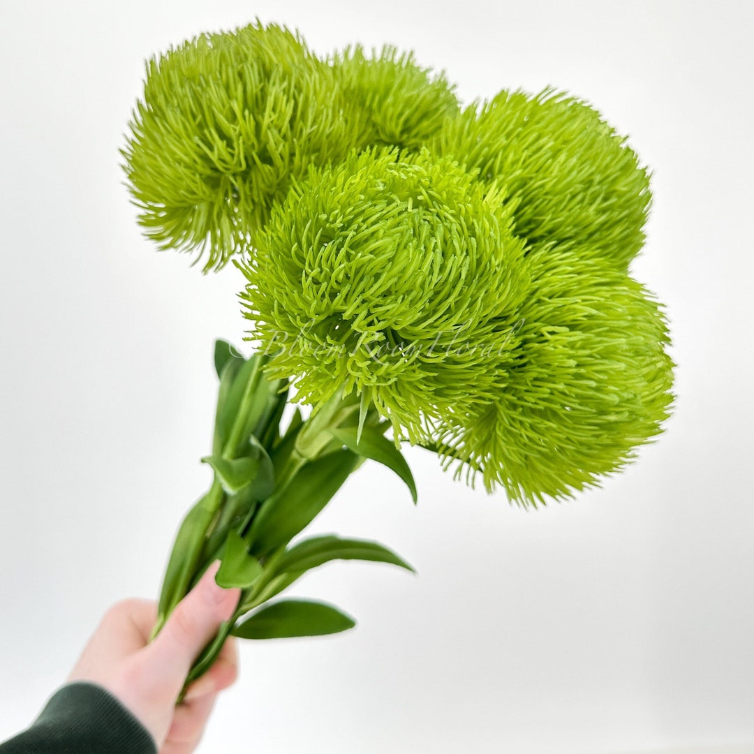 Real Touch Light Green Dianthus: Luxury Artificial Flower Stem (19") - Etsy