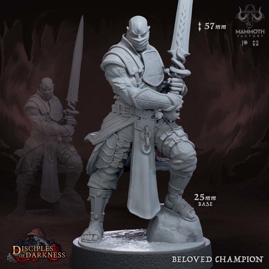Beloved Champion, by Mammoth Factory | Dark Disciples Set | Dnd ...