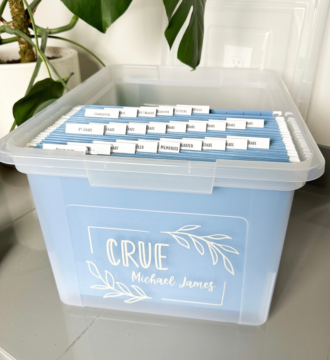 Milestone Box, Memory Box, Kids File Box, Family Organization Box ...