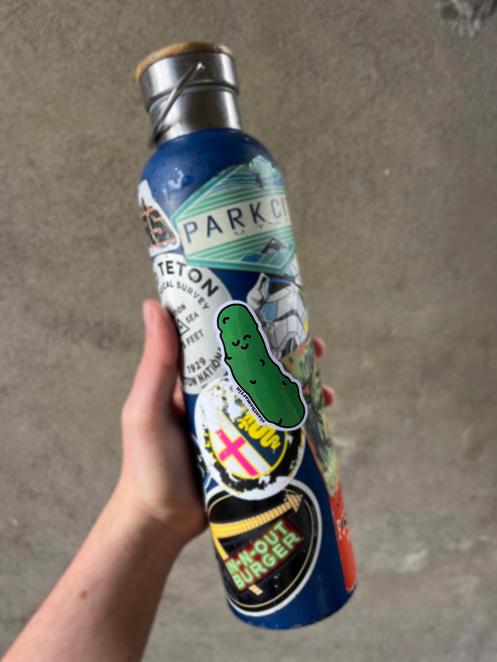 The Sticky Pickle Sticker - Etsy