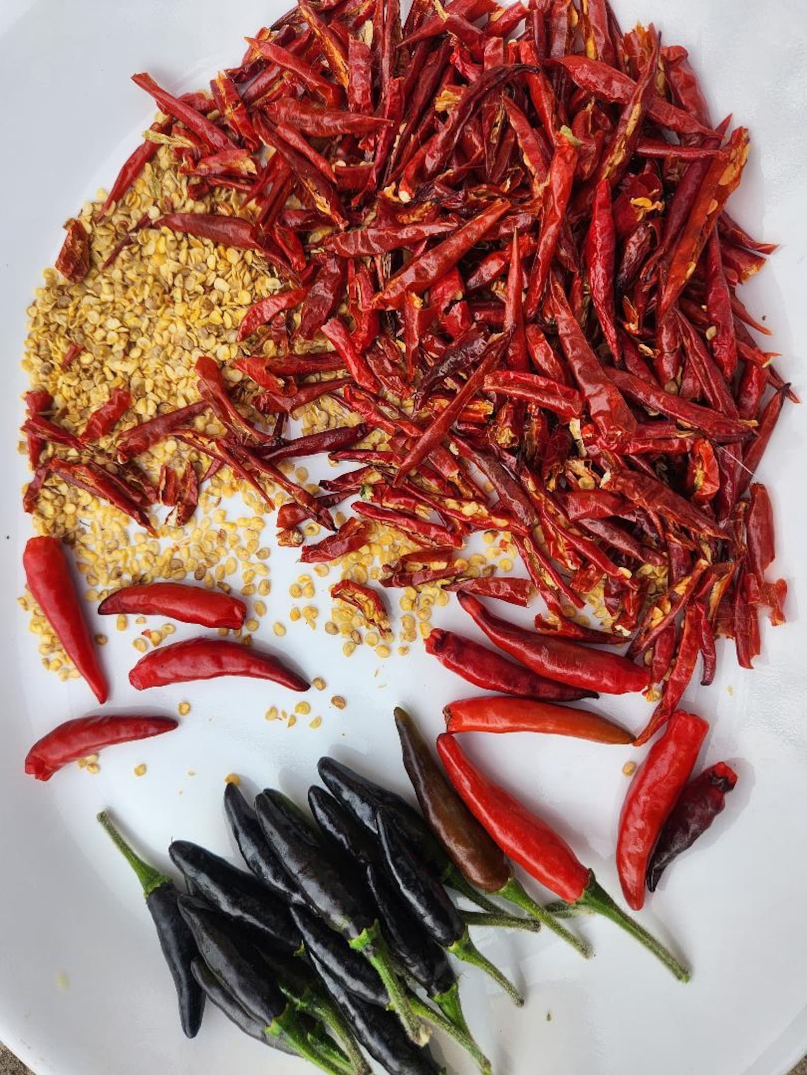 30+ Organic Fresh Rare Black Cobra Hot Chili Black Pepper Seeds, Free ...