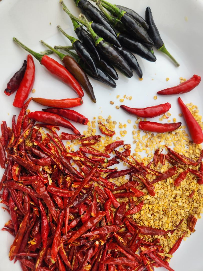 30+ Organic Fresh Rare Black Cobra Hot Chili Black Pepper Seeds - Etsy