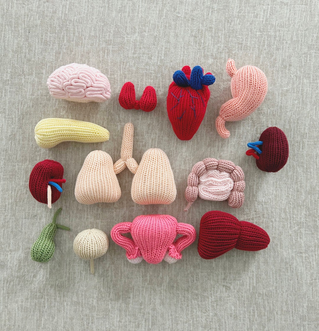 Anatomical Organ Collection Circular Knitting Machine Pattern PDF ONLY ...