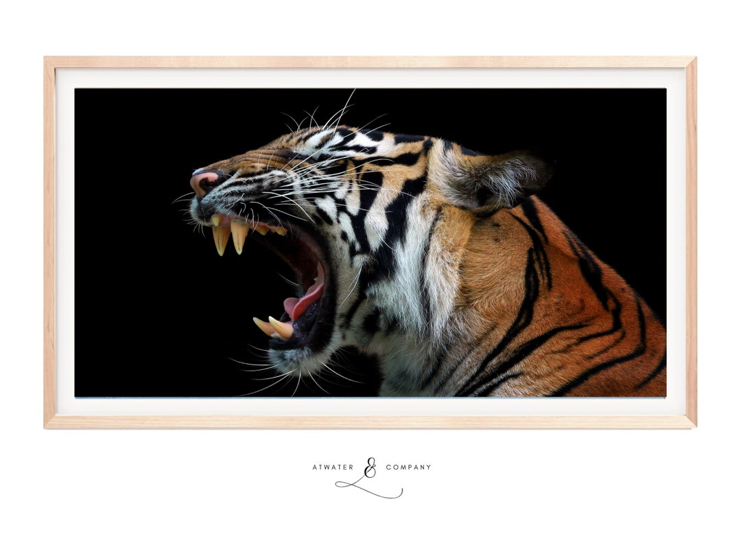 Samsung Frame TV Display | Fierce Tiger Roar | Instant Download - Etsy