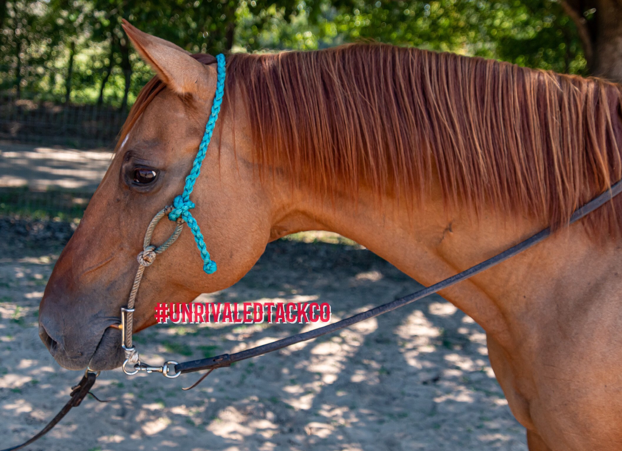 Custom Muletape Lariat Sliding Gag Draw Bit - Etsy