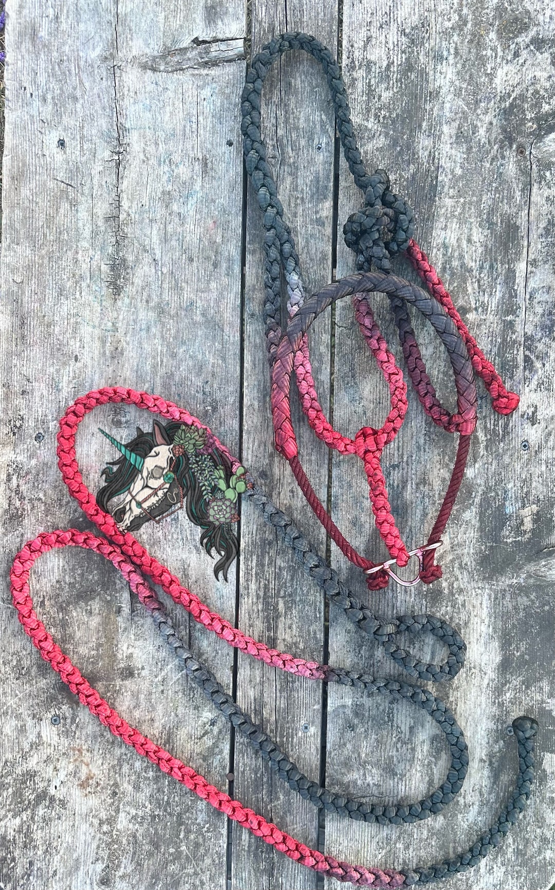 Custom Ombré Braided Lariat Nose Muletape Halter & Lead - Etsy