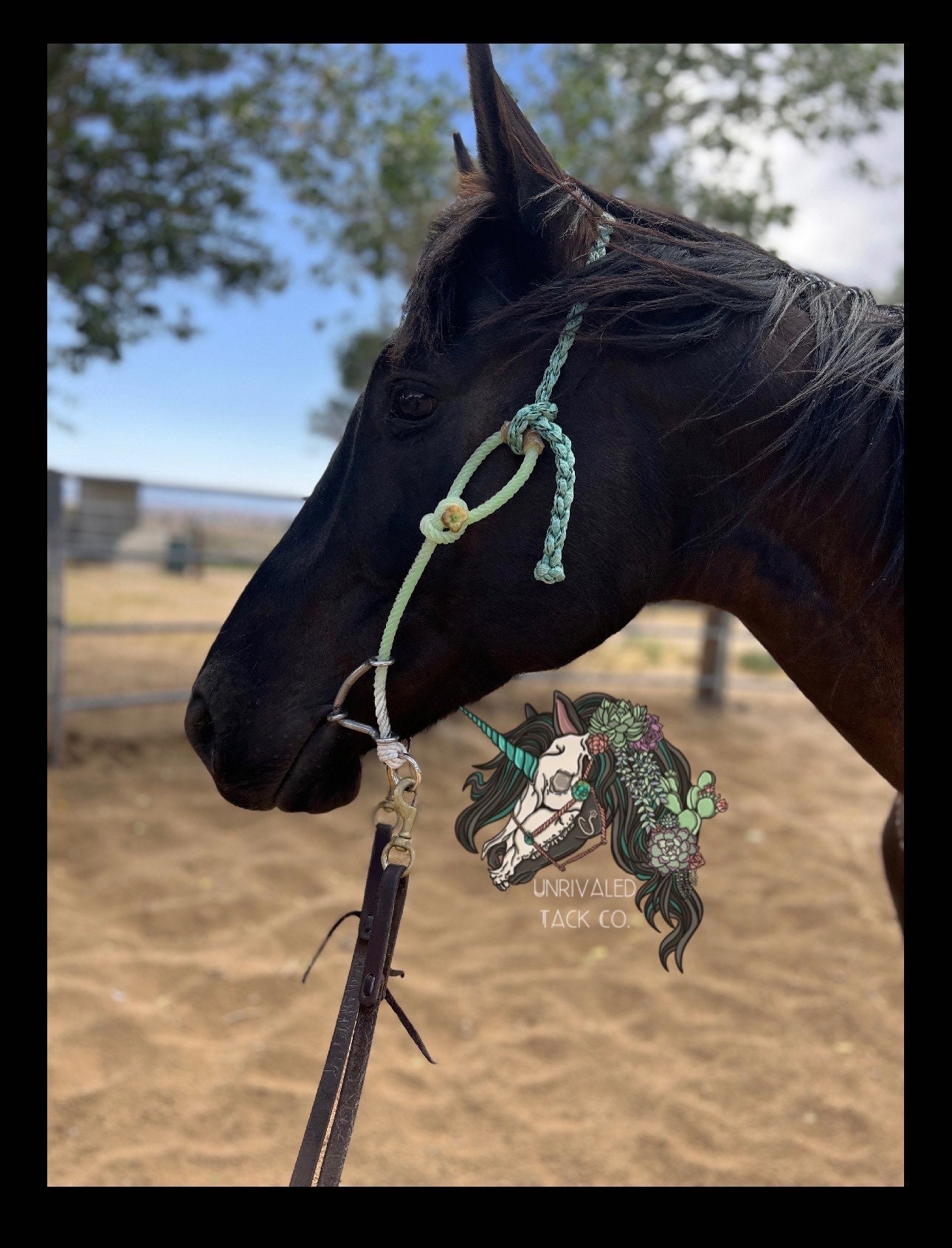 Custom Muletape Lariat Sliding Gag Draw Bit - Etsy