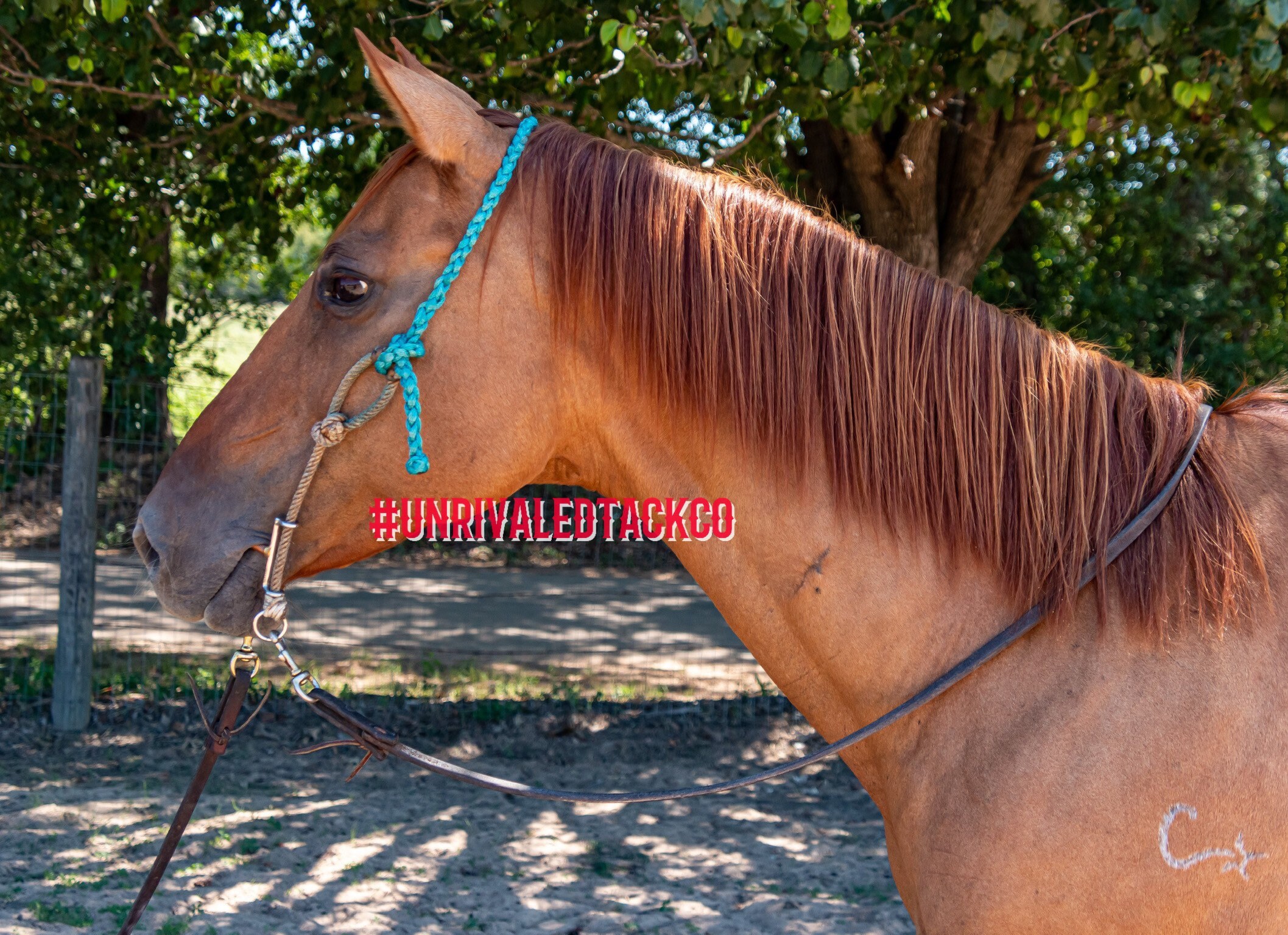 Custom Muletape Lariat Sliding Gag Draw Bit - Etsy