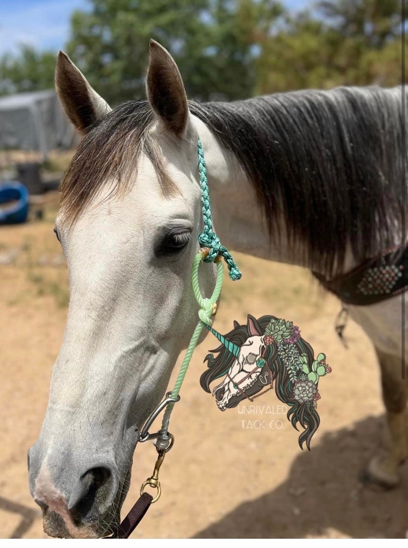 Custom Muletape Lariat Sliding Gag Draw Bit - Etsy