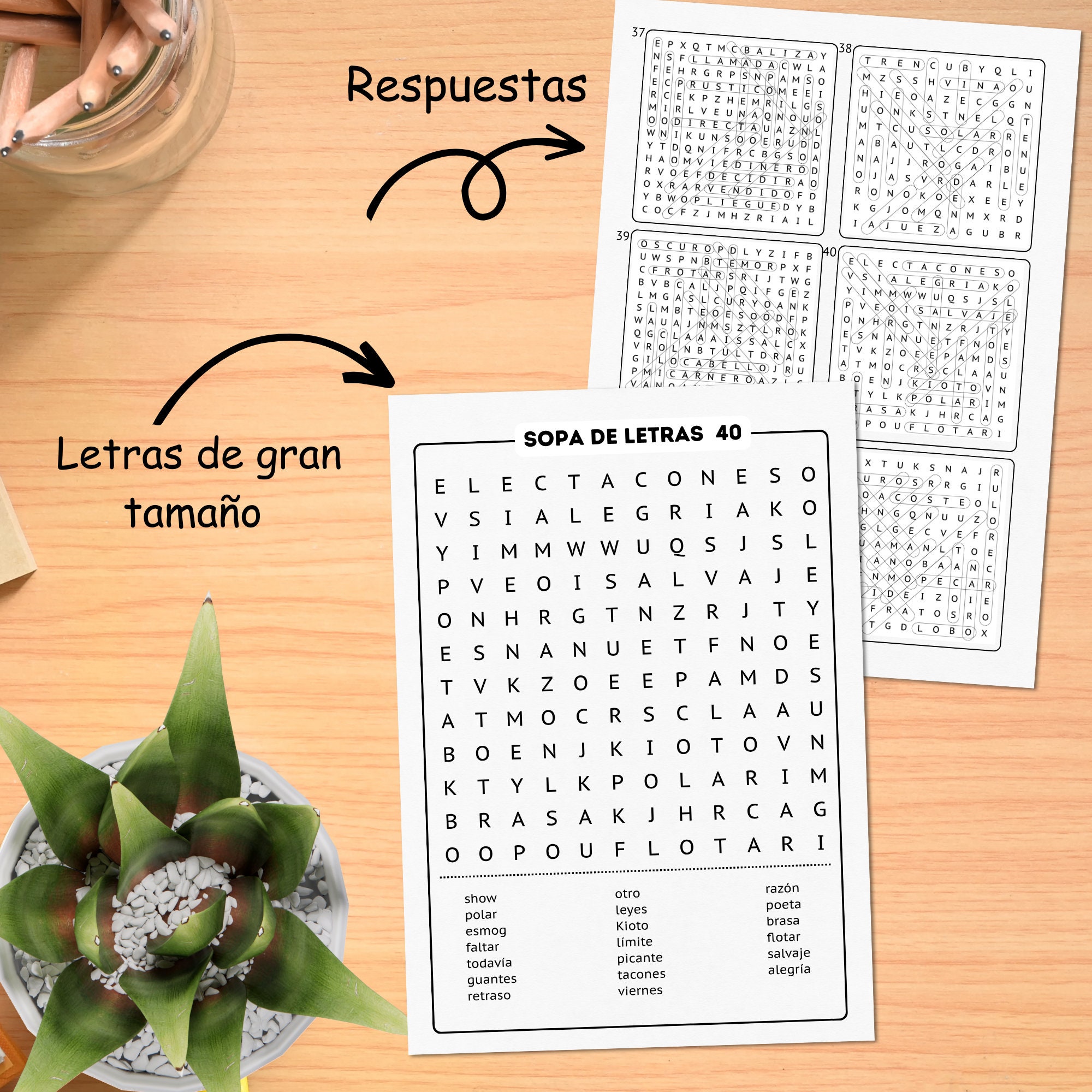 Fácile Sopas De Letras Vol.1 Word Search Printable for Adults - Etsy