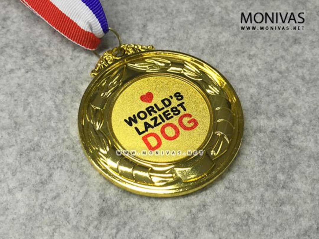 World's Laziest Dog Medal Funny Pet Photo Props Home Decorations - Etsy