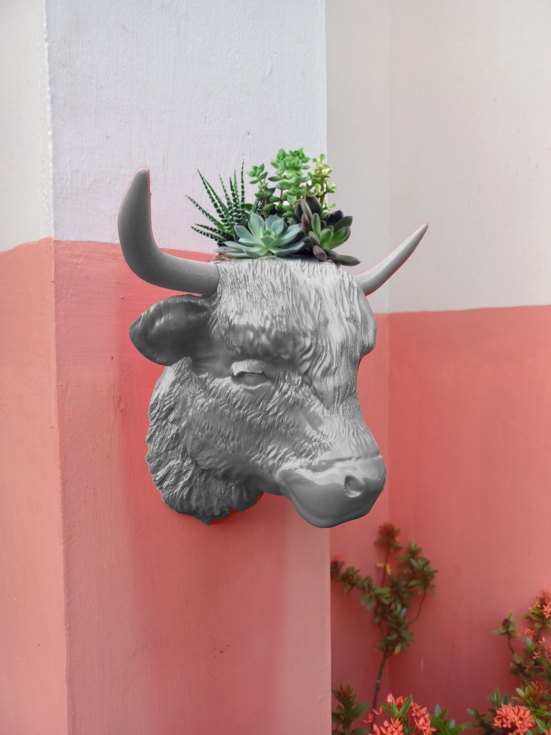 Highland Cow Head Wall Mount Planter Pot Flower Vase Decor Stl 3d Print ...
