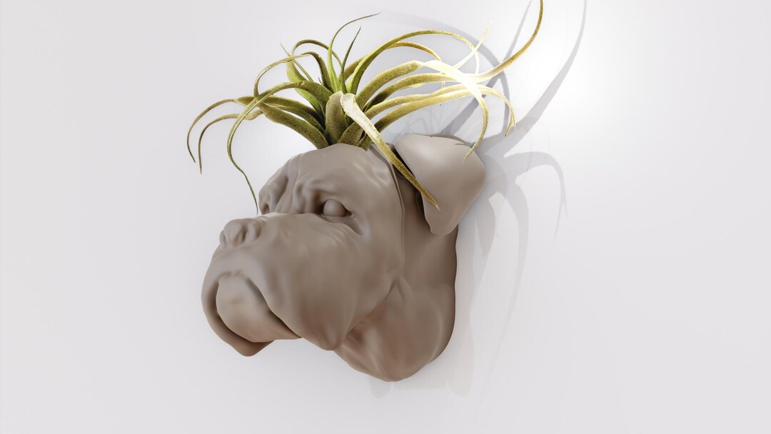 Boxer Dog Wall Mount Head Planter Pot Flower Vase 3d Printing STL File ...