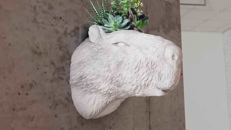 Capybara Head Wall Planter Pot Flower Vase 3d Printing STL File - Etsy